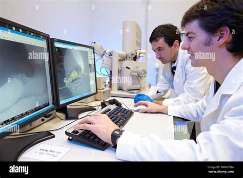 Analysis Of Nanostructures And Nanodevices Using Sem Environmental