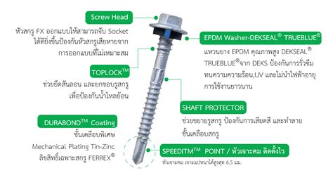 Ferrex Ampelite World Coltd