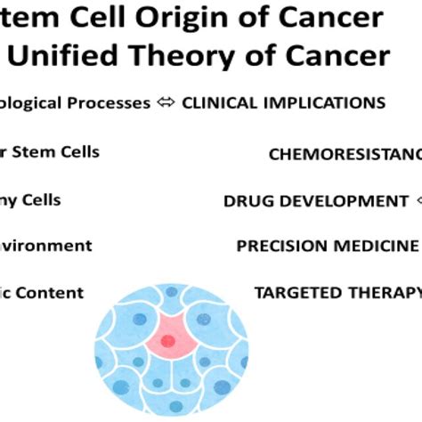 Stem Cell Origin And A Unified Theory Of Cancer Biological Processes Download Scientific