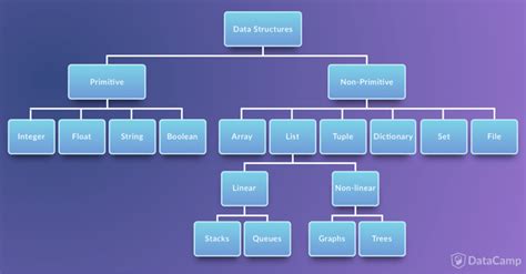 Python Data Structures With Primitive Non Primitive Examples Datacamp