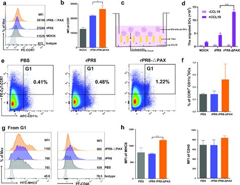 In Vitro And In Vivo Analysis Of The Ability Of Dcs To Migrate To Clns