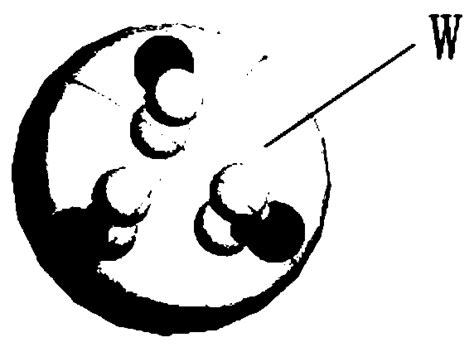 A Construction Method Of Dissipative Particle Dynamics Force Field Eureka Patsnap