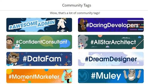 Evaldas Zaranka On Linkedin Salesforce Trailhead