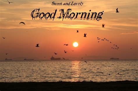 Hot Kissing Good Morning Cards Sexy Good Morning Festival Chaska