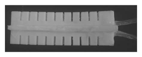 Physical Model Of Pneumatic Soft Bodied Bionic Basic Execution Unit Download Scientific