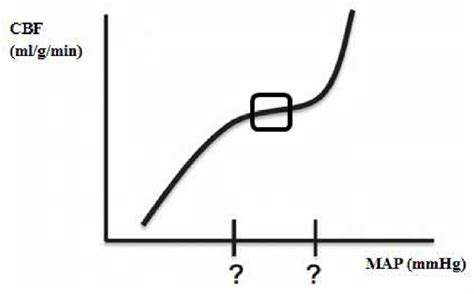 The Autoregulation Curve May Vary From The Classic Depiction Of