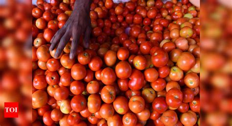 Tomato Prices Slashed Chennai News Times Of India
