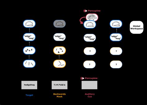 Hypothesis Visual Word Processing Is Organized Hierarchically Along Download Scientific