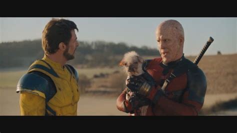 《死侍与金刚狼》全新预告：女死侍、死侍狗登场！