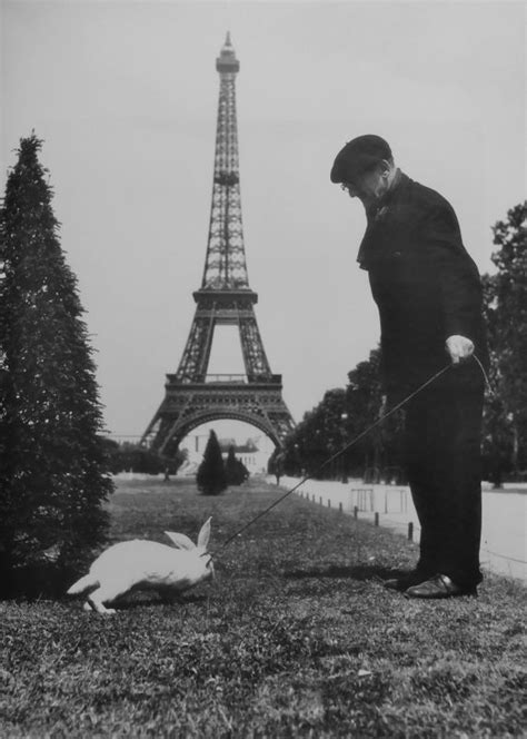 Парижанин с кроликом на поводке вблизи Эйфелевой башни — военное фото