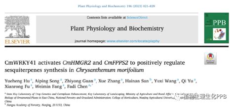 南京农业大学陈发棣教授团队揭示菊花中萜烯物质合成机制 知乎