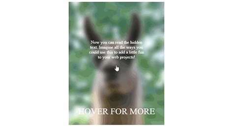 Simple Blur Hover Effect With Just Html And Css By Patrick Cho Medium