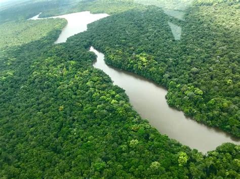 My Trip To Guyana In The South American Rainforest