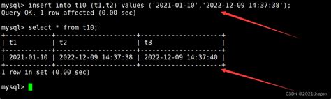 Mysql数据类型mysql Unsigned Csdn博客