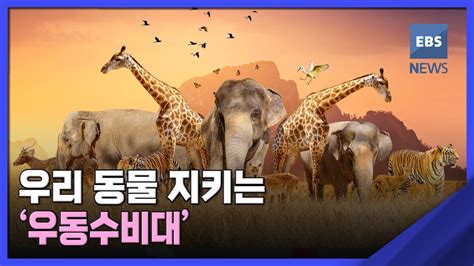 2022 12 01 뉴스브릿지 우리 동물 지키는 우동수비대 Youtube