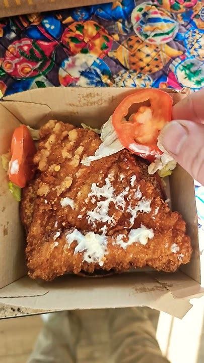 Im Not Lovin It Mcdonalds Fail Shorts Gross Mccrispy Undercooked