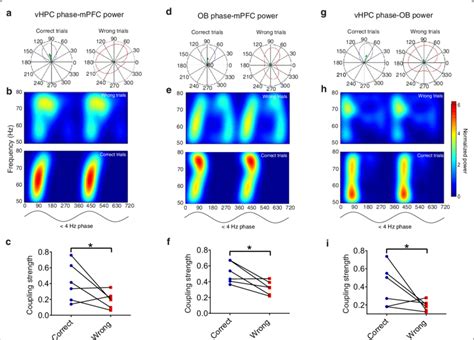 Cross Frequency Coupling Between Ob Mpfc And Vhpc Reduces Enhanced