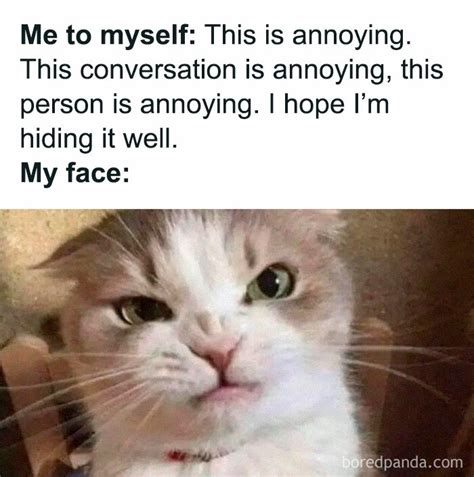 45 Of The Funniest And Most Relatable Introvert Memes Shared On This Page Bored Panda