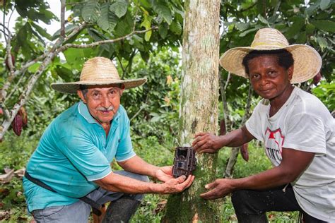 Agroecological Regenerative Cocoa Arc Project