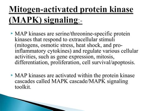 Enzyme Linked Receptor Ppt
