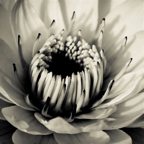 Sexy Flickr Photo Sharing