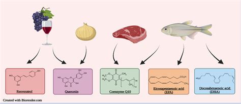 Most Popular Food Sources Of The Bioactive Compounds Are Resveratrol