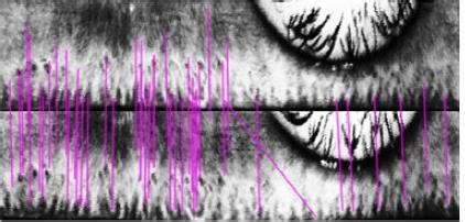 Example Of Iris Matching Proces Download Scientific Diagram
