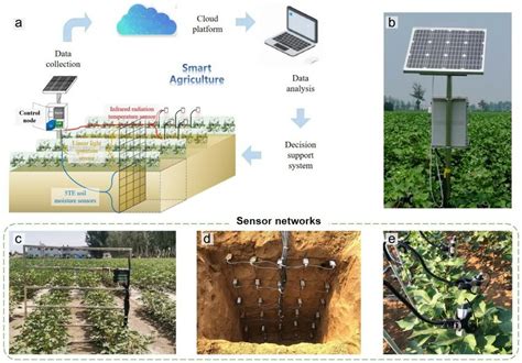 The Smart Agricultural Sensor Networks Used In The Field Experiment A Download Scientific