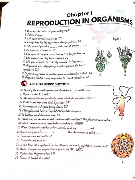 Class 12 Biohack Pdf