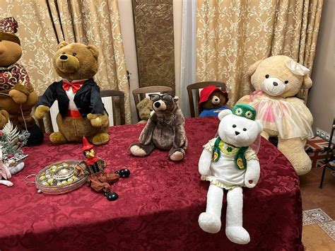 Visitors Can Hug Exhibits At Voronezhs Plush Bear Museum 16 Feb 2026
