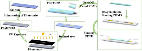Schematic Graphs Showing The Fabricating Process Of Microfluidic Pdms Download Scientific