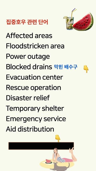 왕초보 영어 쉽게 시작하세요 기본단어 집중호우편 영어반복 왕초보영어 기초영어단어 시니어영어 기초영어회화 영어회화 여행영어 쉬운영어 Youtube