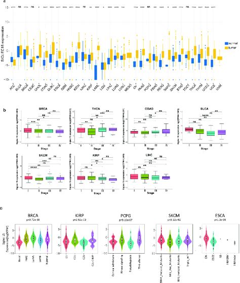 The Transcription Levels Of Siglec 15 In Human Cancers A The Mrna Download Scientific