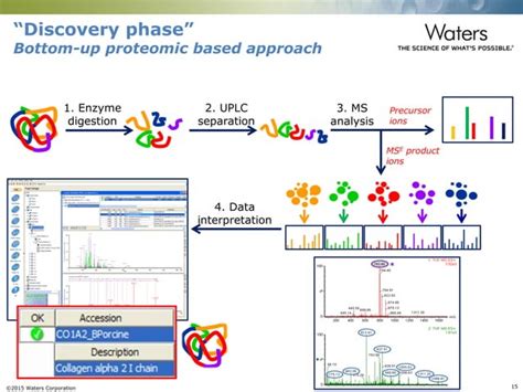 Overview Of Food Allergen Detection Using Mass Spectrometry Waters Corporation Food Safety
