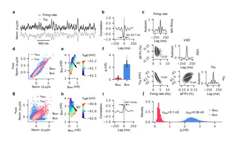 Population Firing Rate Anticorrelates With Vsdi Fluctuations Download Scientific Diagram
