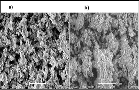 The SEM Image A HAp B Iron Doped HAp Download Scientific Diagram