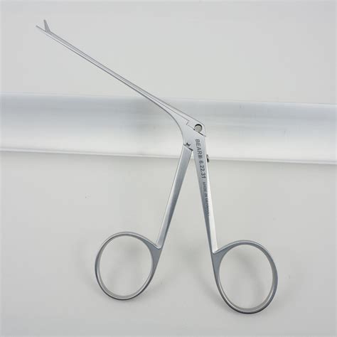 Bellucci Scissors Bear Ent