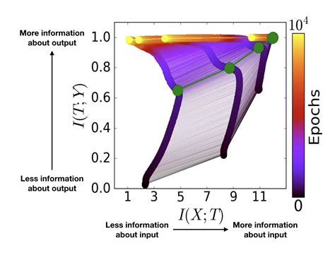 training deep neural networks or the unexpected virtue of ignorance