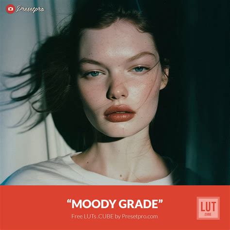 free lut velvia 100 lookup table