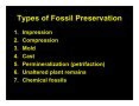 Modes Of Fossil Preservation
