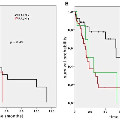 Overall Survival Of Patients With Para Aortic Lymph Node Resection A Download Scientific