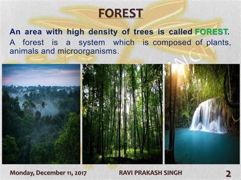 Forest Class 7 Pdf Science