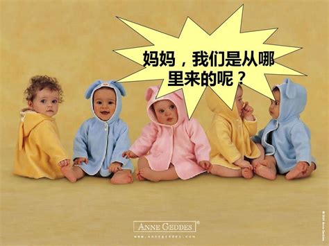 人的生殖 第一节 男性与女性生殖系统 第 课时 word文档在线阅读与下载 无忧文档