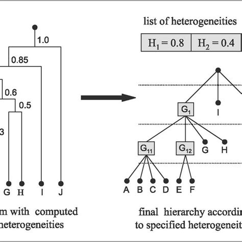 Construction Of The Final Hierarchy Tree With Three Levels Based On The Download Scientific
