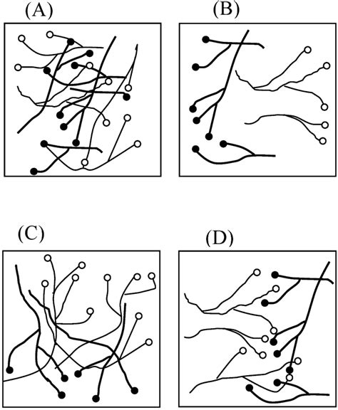 four fine scale inter species spatial interaction patterns drawn from download scientific