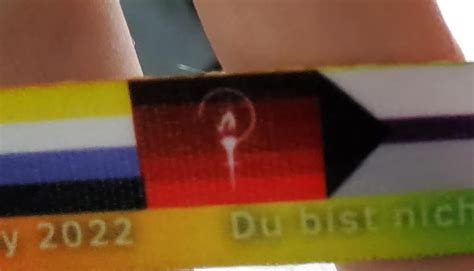 Whats This Pride Flag Between Enby And Demisexual Spotted On A
