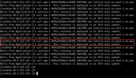 Accelerate Your Ipv6 Adoption On Aws With Amazon Vpc Lattice Networking And Content Delivery