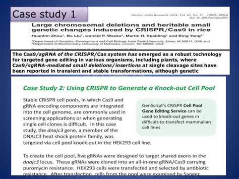 CRISPR CAS THE GENE EDITING TOOL PPTX Programming Languages Computing
