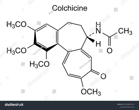 Chemical Structure Colchicine Drug Substance Stock Vector Royalty Free 2558591157 Shutterstock