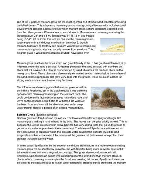 Ncea Level 2 As91158 Investigate A Pattern In An Ecological Community